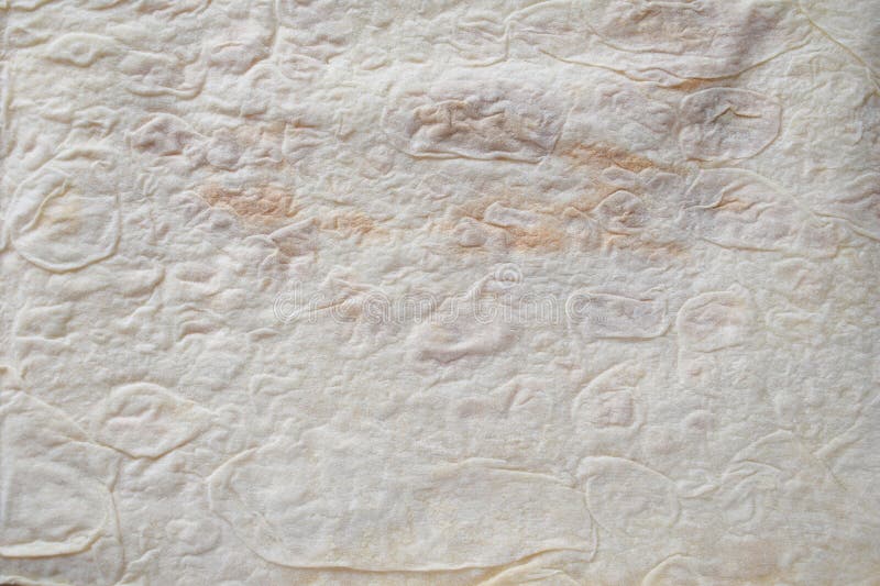 Close-up of Fresh White Lavash Bread with Subtle Texture and Delicate ...