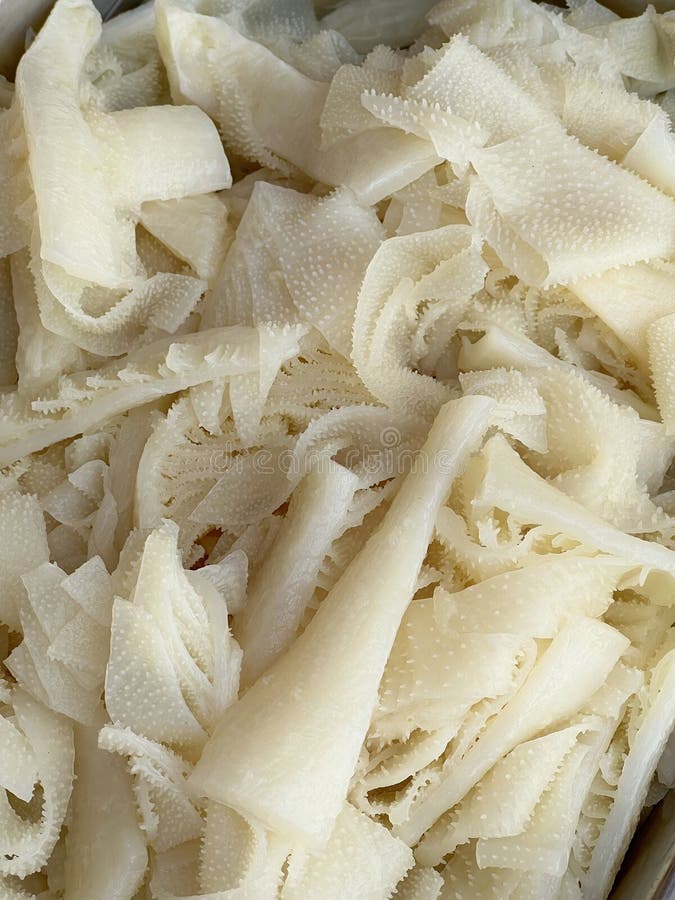 Cow Tripe Stock Illustrations – 3 Cow Tripe Stock Illustrations ...