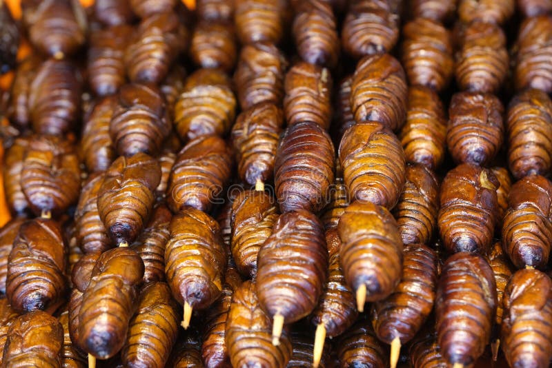 Close Up Fried Silkworm Chrysalis Background Stock Photo - Image of ...