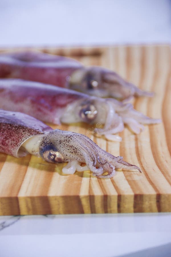 Close-up of Front Squid Showing Head and Tentacles with Two Blurred ...