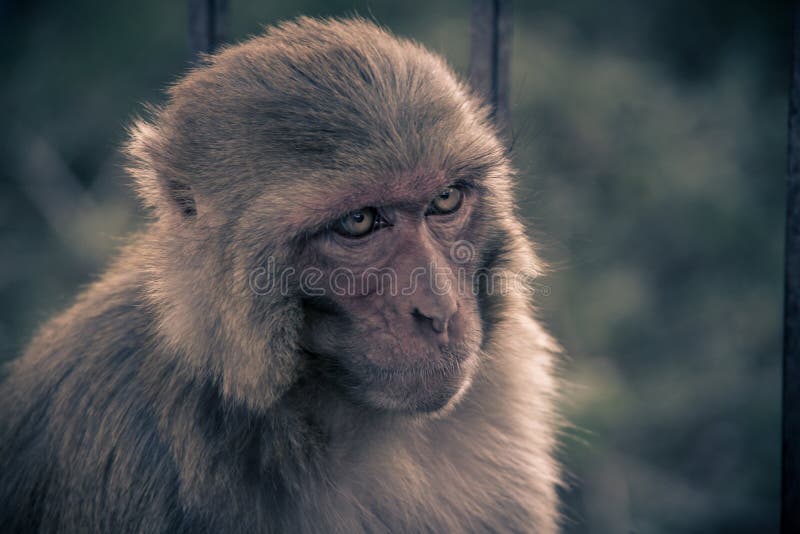 Front Side View Face Stock Images - Download 3,048 Royalty Free Photos ...