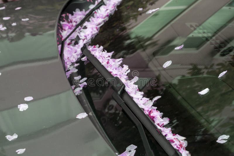 124 Car Front View Wiper Up Stock Photos - Free & Royalty-Free Stock ...