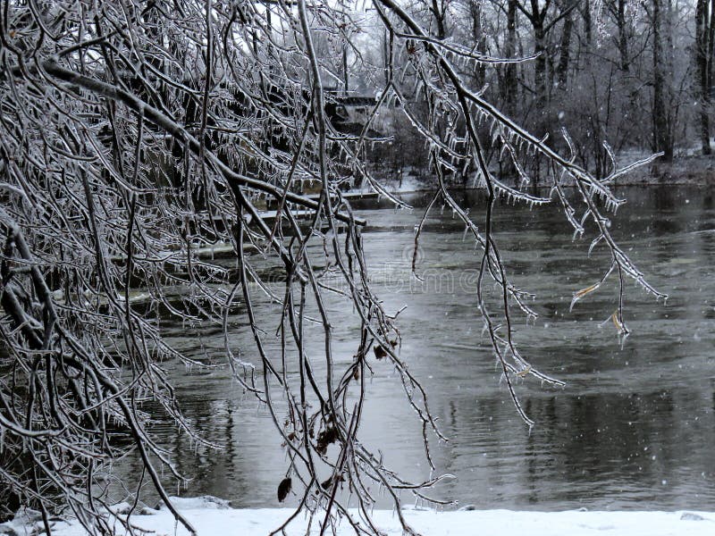 Close-up of Frozen Branches Covered of Ice with the River in the ...
