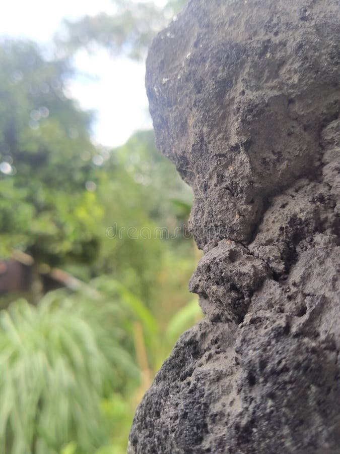 Close Up Full of Rock Texture Stock Photo - Image of trunk, close: 252287130