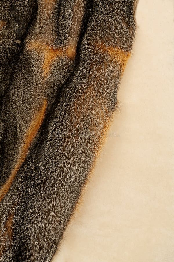 Close-up of a Fur Coat Multi Colored Stock Photo - Image of chic, noble ...