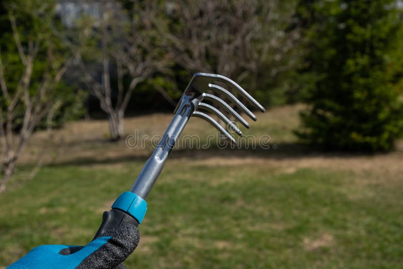 Close-up of a Garden Rake in the Hands of a Gardener Stock Photo ...