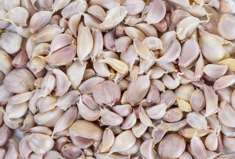 Close Up Garlic for Background Texture Stock Photo - Image of garlic ...