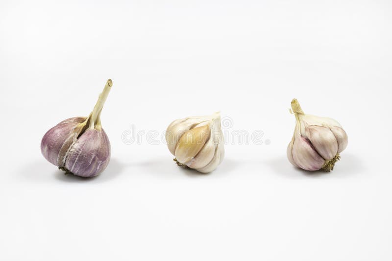 Close-up of Garlic Isolated on a White Background Stock Photo - Image ...