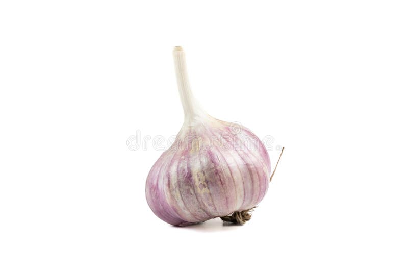 Close-up of Garlic on White Background Stock Photo - Image of lighting ...
