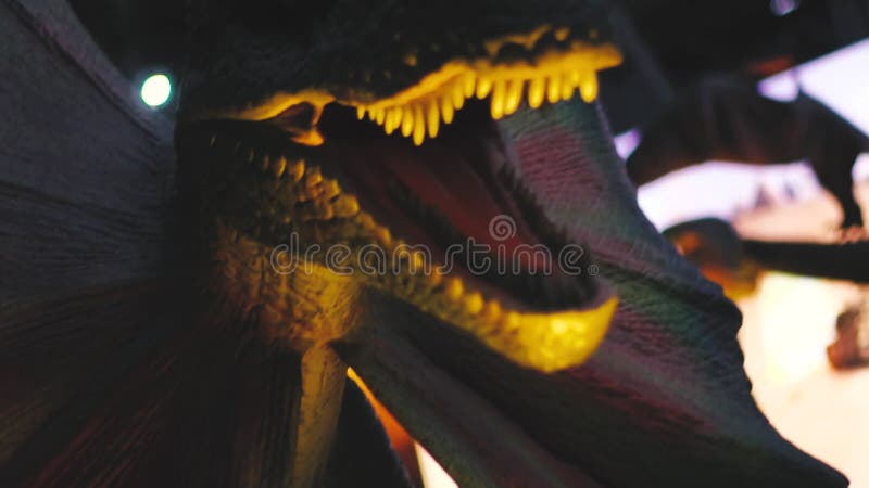 Giant Predator Dilophosaurus Dinosaurus with Sharp Teeth Stock Video ...