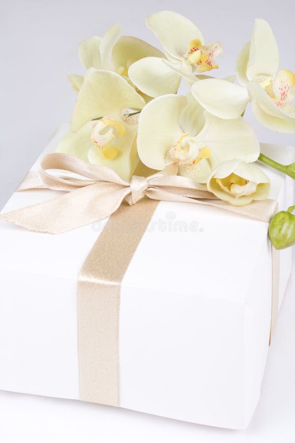Close Up of Gift Box with Ribbon and White Orchid Stock Image - Image ...