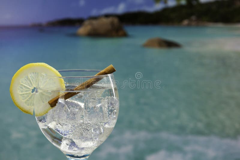 518 Gin Tonic Beach Stock Photos - Free & Royalty-Free Stock Photos ...