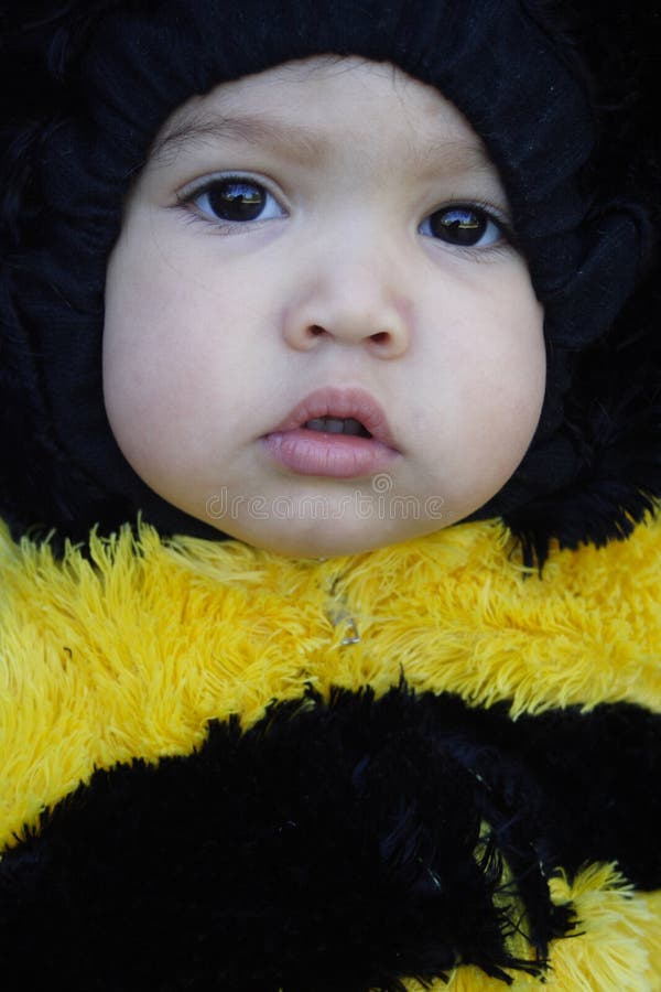 Close-up of Girl Dressed Like a Bee Stock Image - Image of staring ...