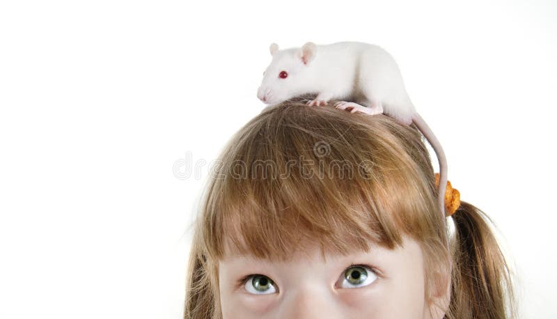 Close-up girl with a rat stock image. Image of cute, little - 16103229