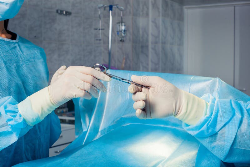 Close-up of Gloved Hands Holding Surgical Scissors Stock Photo - Image ...