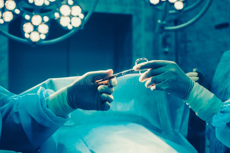 Close-up of Gloved Hands Holding Surgical Scissors Stock Image - Image ...