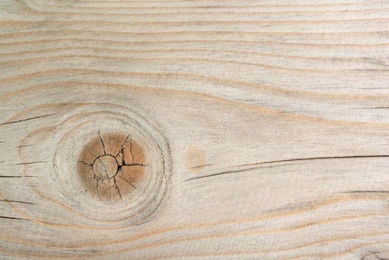 Close Up Gnarl of Plank Wooden Surface Texture Background, with Copy ...