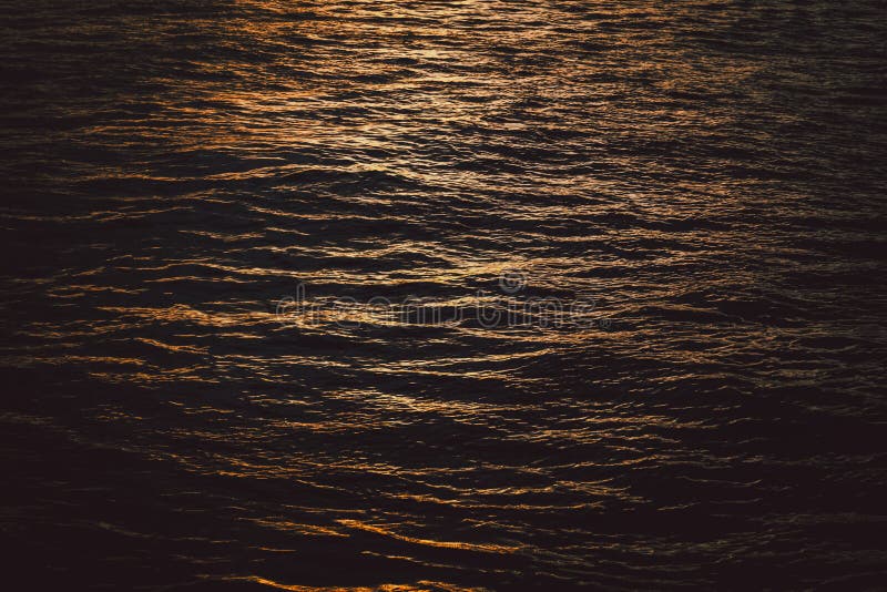 Golden Ocean Wave at Sunset Stock Photo - Image of vibrant, outdoors ...