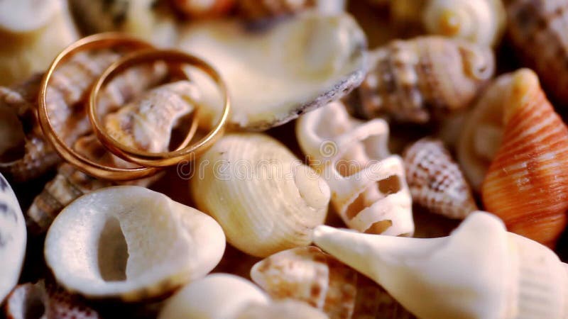 Close Up Golden Wedding Rings on Shells. Macro Stock Video - Video of ...