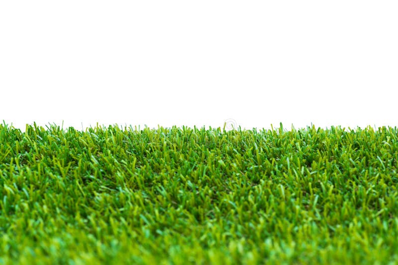 Close Up of Golf Green Grass Stock Image - Image of field, outdoor ...