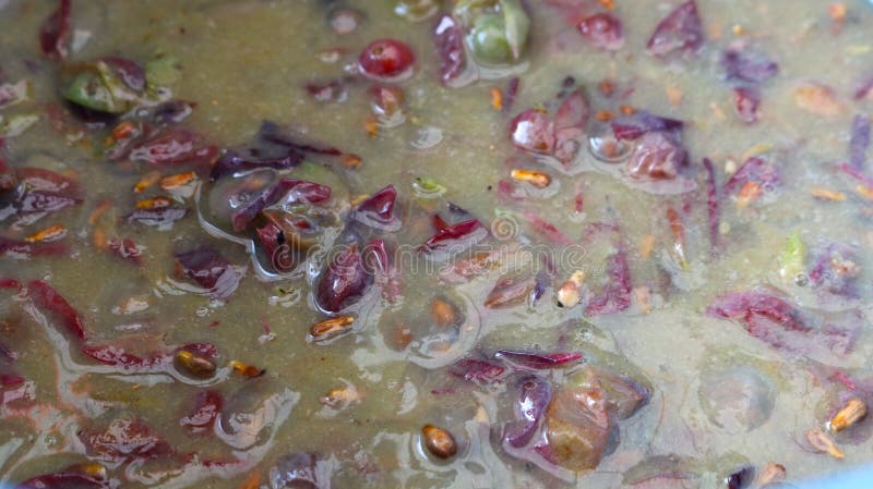 Close-up of Grape Must in the Fermentation Stage Stock Photo - Image of ...