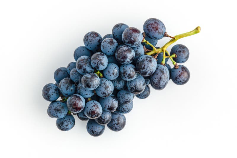 Close-up of grapes stock photo. Image of ripe, green - 376054286