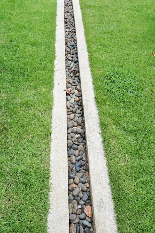 Grass Floor in Nature Garden Stock Photo - Image of grass, fresh: 114673082
