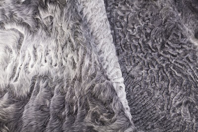 Close Up Gray Fur Sheep Pattern Stock Photo - Image of gray, farm: 34505004