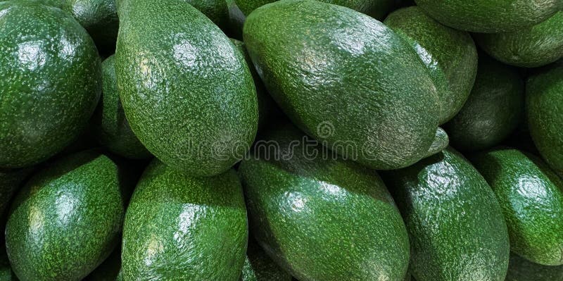 Close Up Green Avocado Texture Background Stock Image - Image of ...