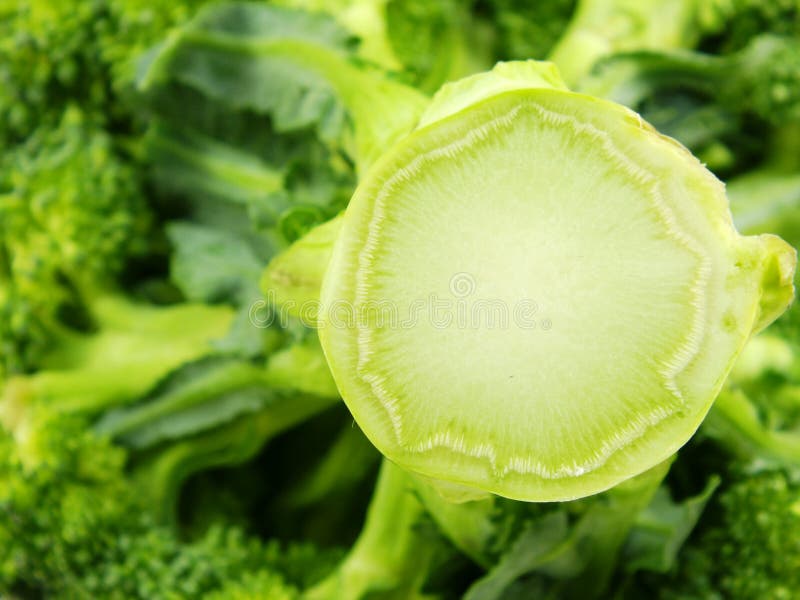 Close Up of Green Broccoli Texture Background Stock Photo - Image of ...
