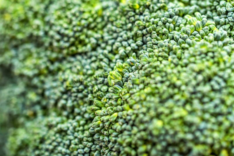 Broccoli texture stock image. Image of grocery, texture - 11964833