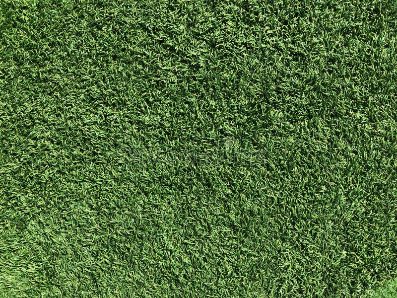 Close Up Green Grass Texture for Background, Fresh Lawn Stock Photo ...