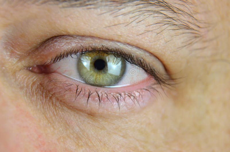 Green man`s eye stock image. Image of caucasian, observe - 120621121
