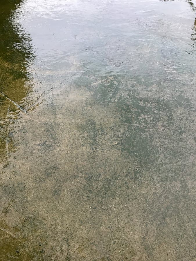 Moss and water. stock image. Image of environmentalism - 19953659