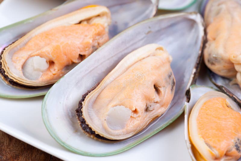 Close up green mussels stock photo. Image of cuisine - 30602962