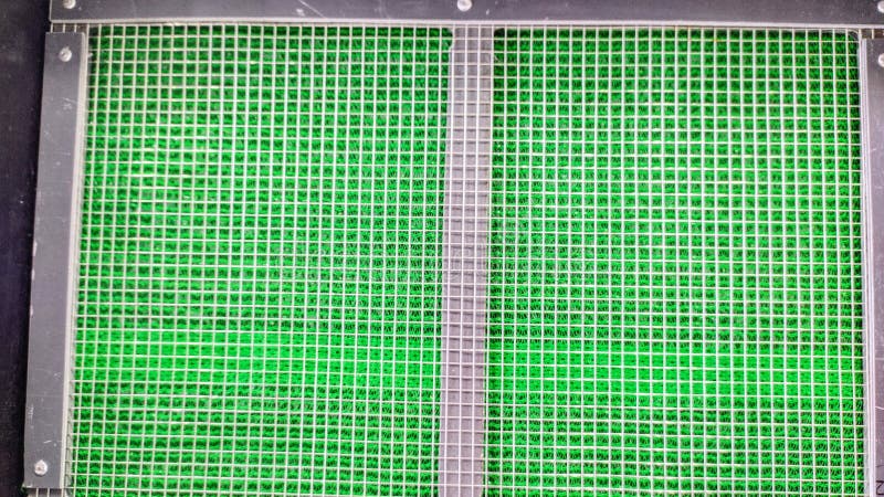 Close-up of Green Plastic Grid Mesh. Stock Photo - Image of plastic ...