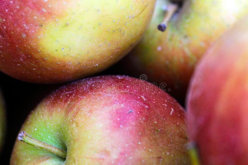 Close Up of Green and Red Apple Fruits Covered with Dust Stock Image ...