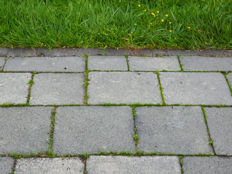 Green Stone Pavement Texture Stock Photo - Image of green, garden ...