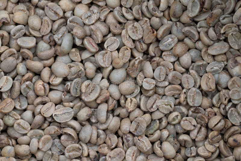 Close-up of Green, Unroasted Coffee Beans from Above Stock Image ...