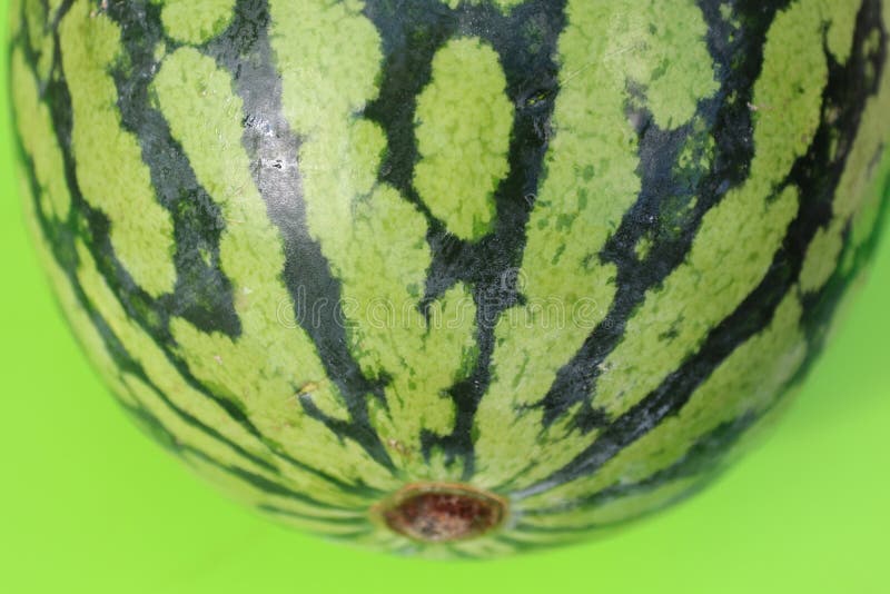 Green watermelon skin stock image. Image of rind, health - 189218249