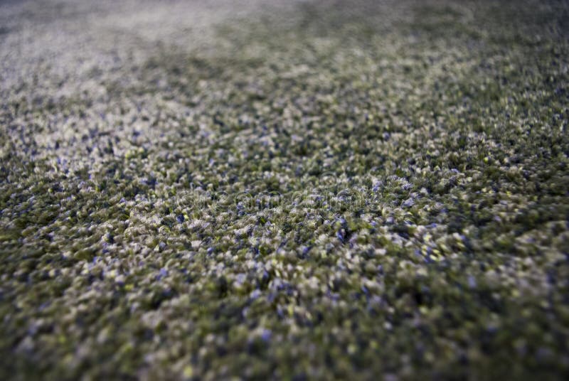 Grey carpet texture stock photo. Image of carpet, design - 28643446