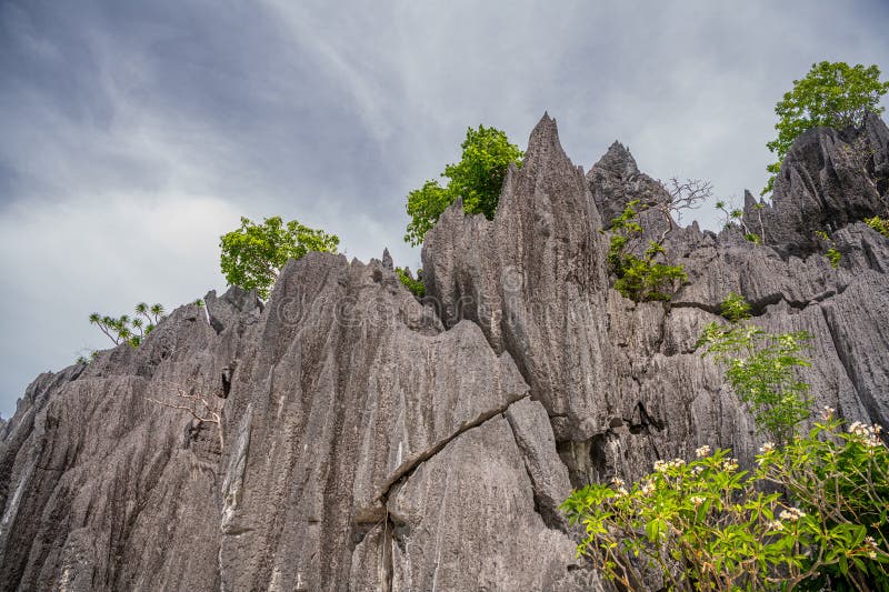 Close Up on the Grey Limestone Cliffs Against the Blue Sky in Coron ...