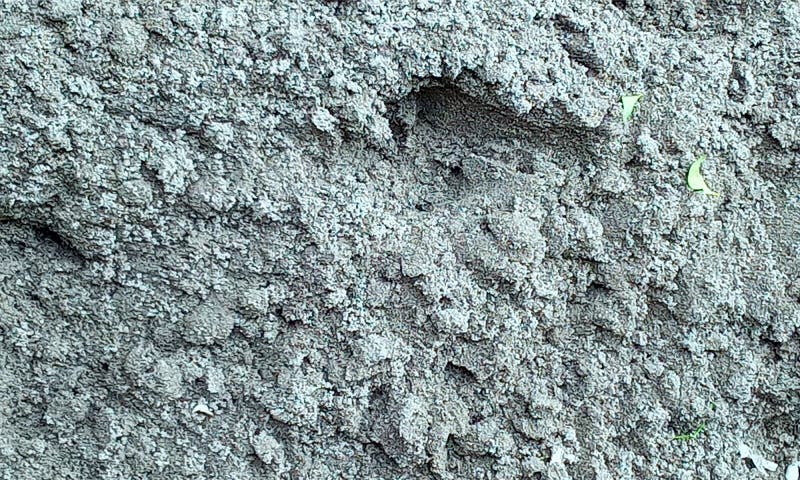 Close Up Grey Soil Texture with Small Stones Stock Image - Image of ...