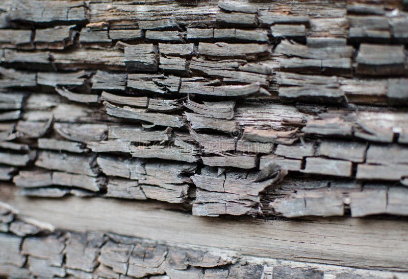 Close Up Grooved Wooden Texture Natural Patterns Lines Stock Photos ...