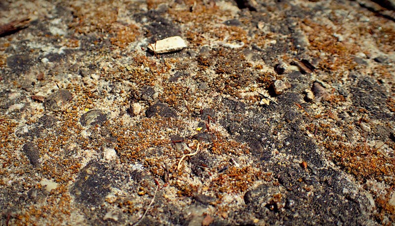 Close Up of Stone Slab Ground with Iron Pole Stock Image - Image of ...