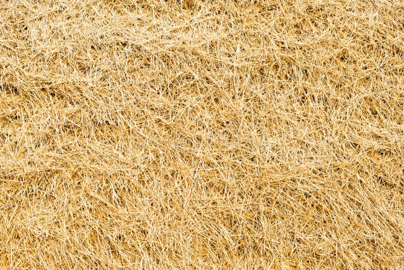 Close up of ground. stock image. Image of nature, land - 45483577