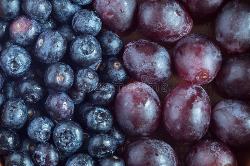 Close-up of a Group of Blueberries in the Middle of the Image and ...