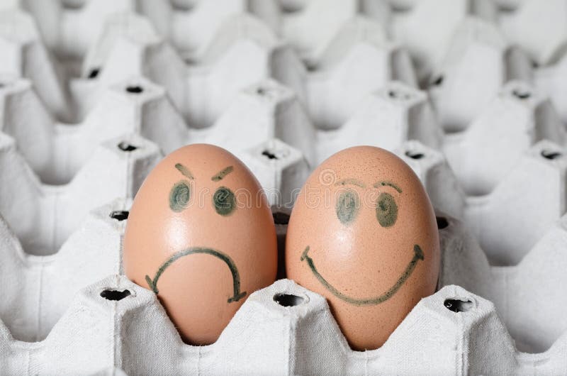 Close-up Group of Fresh Chicken Eggs in Cardboard Formwork. Customer ...