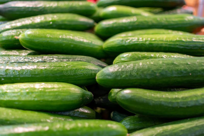 Close Up Of A Group Of Fresh Green Cucumbers Organic Vegetables