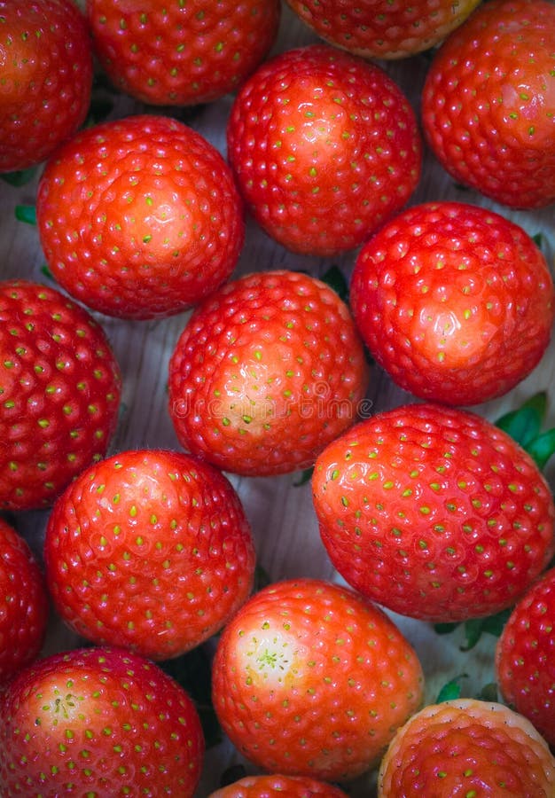 The Close Up of Group of Fresh Red Strawberry,made with Filter Stock ...